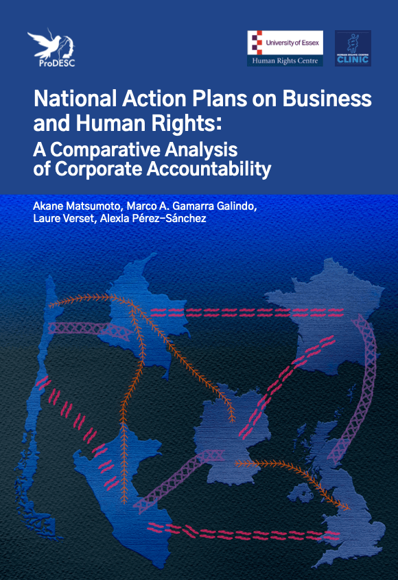 National Action Plans on Business and Human Rigths: A Comparative ...